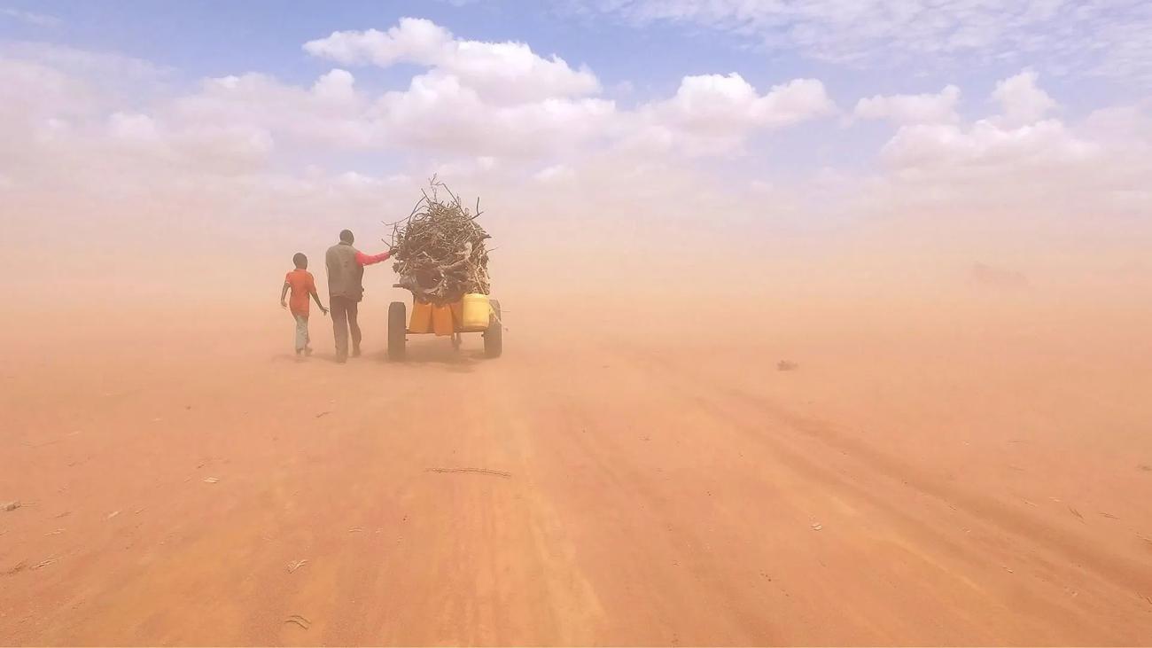 HUMAN FLOW | De Studio